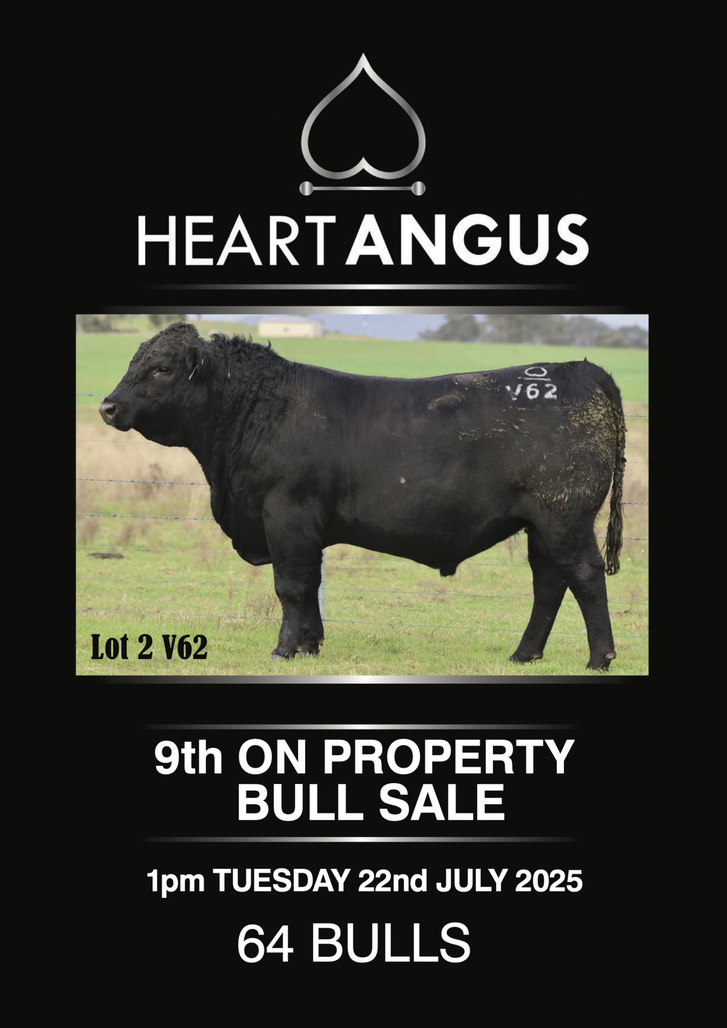 Homepage - Heart Angus